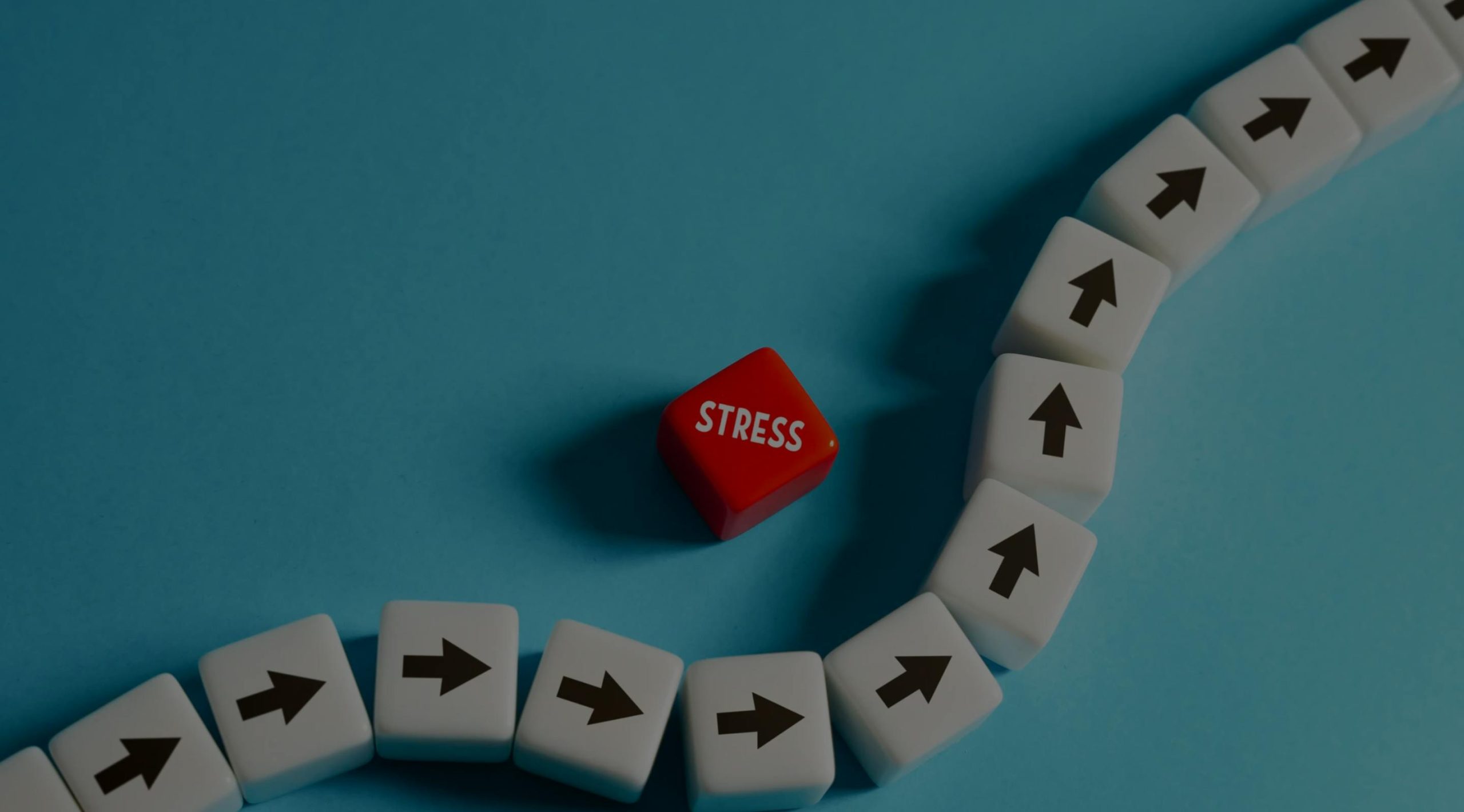 Uncertainty Avoidance and Emotional Reactions to Conflict ...